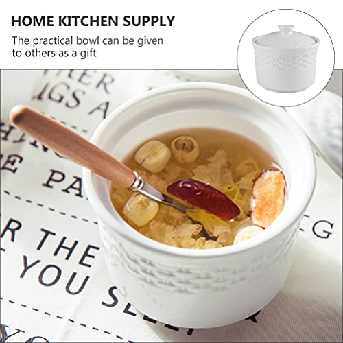 Operitacx Ceramic Stew Pot with Lid and Spoon Japanese Small Steam Soup Bowl Steaming Cup Serving Dish Seasoning Jar for Cereal Rice Chili Beef Stew Medicinal Birds Nest Egg Custard Appetizer