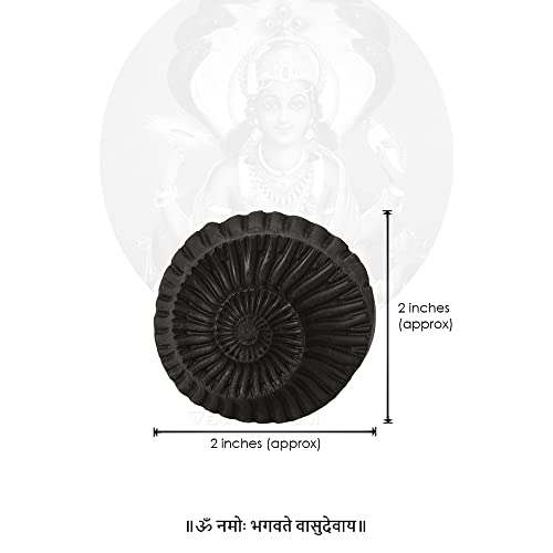 Vedic Vaani Siddh Vishnu Vinayak Divine Sudarshan Shaligram Stone Shila (Pack of 4)