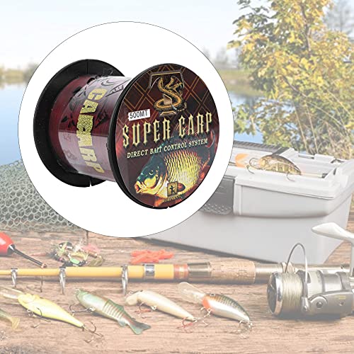 RvSky Fishing kit 500m Super Strong Nylon Fishing Line Thread Cord Sea Fresh Water Fish Tool