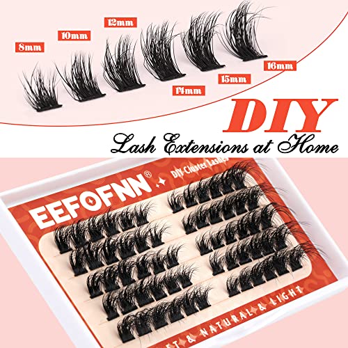 Mink Cluster Lashes Fluffy Individual Eyelashes Clusters False Lashes Curly Faux Mink Eyelashes DIY Individual Lash Extension at home by Eefofnn (8mm-16mm Mixed Length)