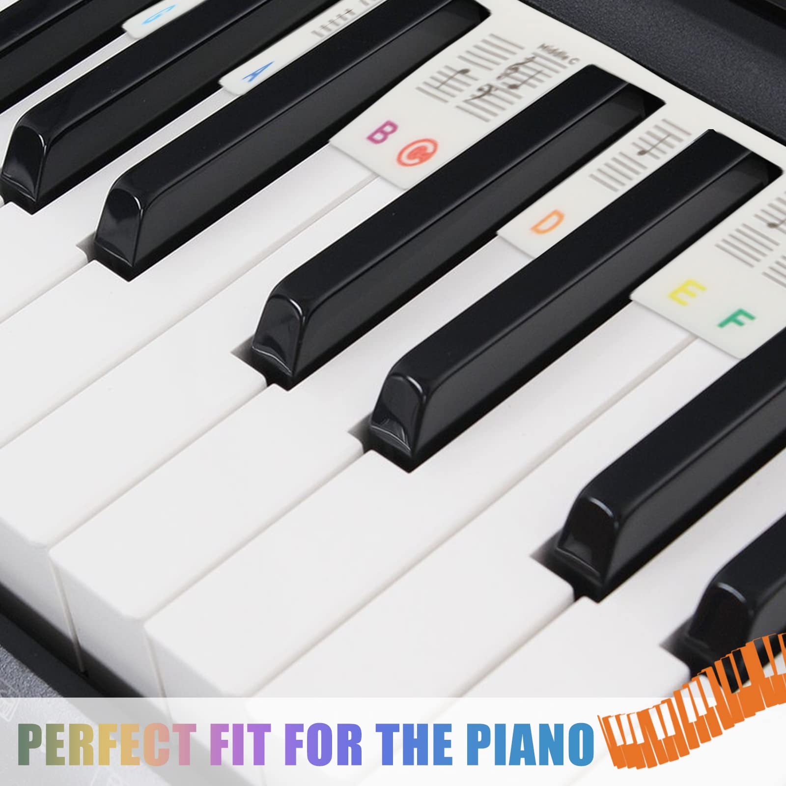 Removable Piano Keyboard Note Labels, 2 in 1 Silicone Piano Keyboard Stickers for Beginners Kids Learning, Full Size Keyboard 88 Keys, Double Staff Display Comes with Box