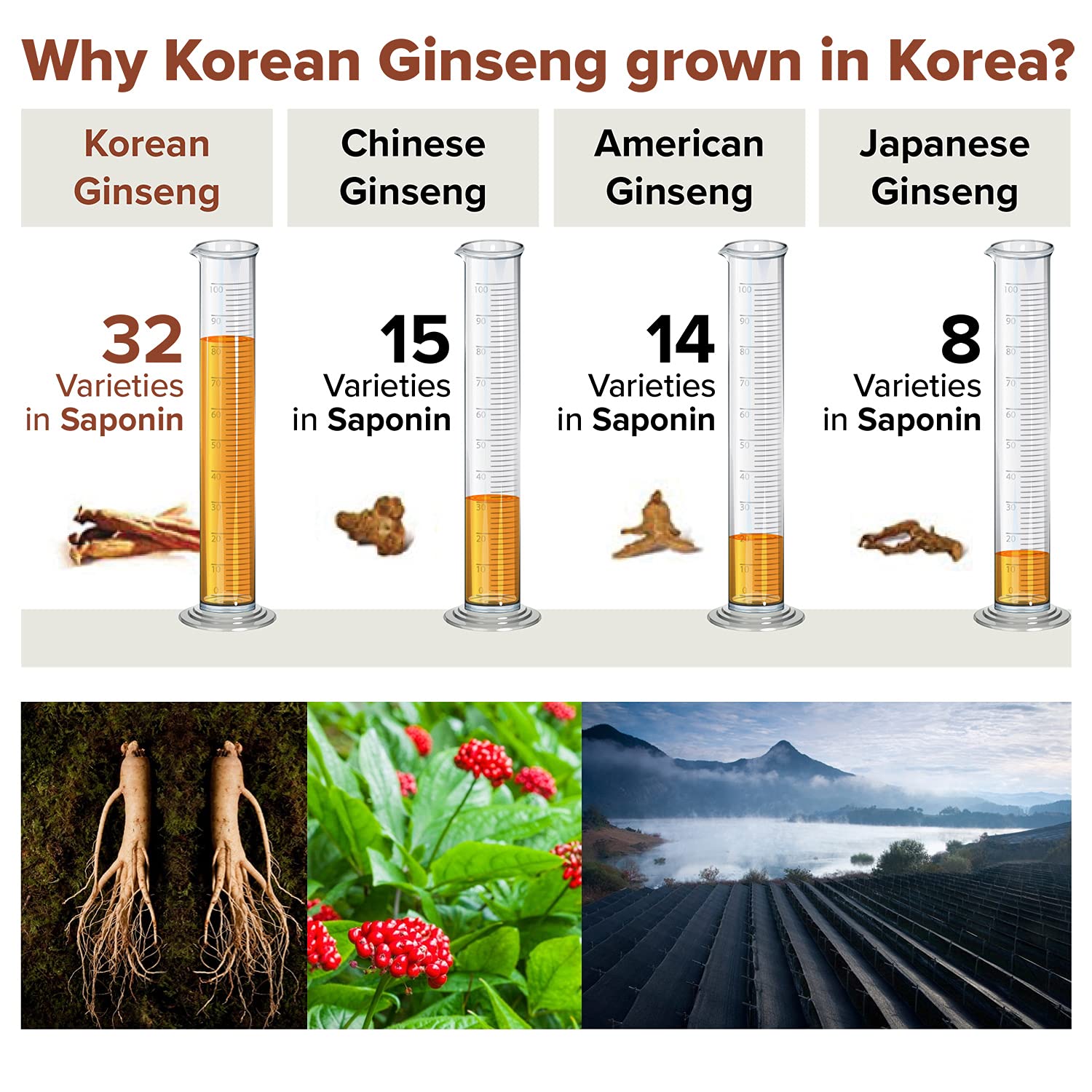 Korean Panax Red Ginseng Extract-6 Year Roots Ginsenoside-20mg Made in Korea. Every Day for Immunity, Energy & Stamina Boost, Memory, Mood, Focus, and Overall Health 10g X 30 Pcs