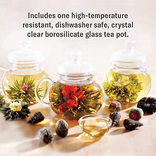 Numi Organic Flowering Tea Gift Set, 6 Handsewn Tea Blossoms & 16-Ounce Glass Teapot, Blooming Tea Flowers