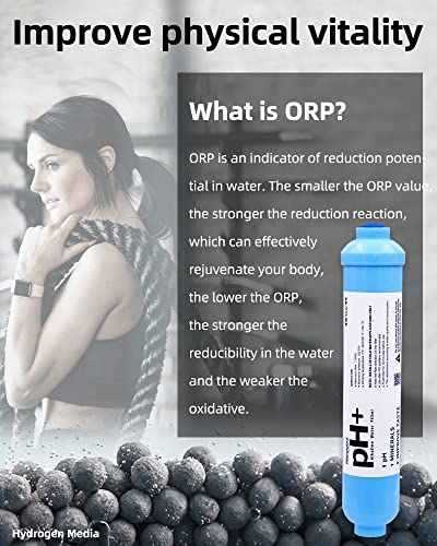 Ph+ Alkaline Water Filter Cartridge Improve Body Vitality Reverse Osmosis Filters Improves Taste Water Filter Replacement Mineralizes Water Filter Cartridge for Ro System