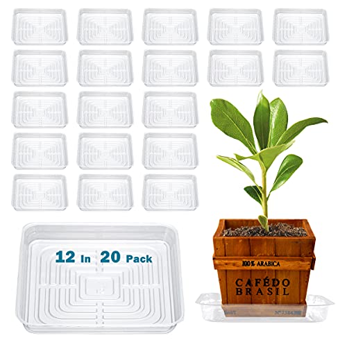 UltraOutlet 20 Pack Square Plant Saucer Plant Trays for Pots 12 Inch Plant Saucers for Outdoors and Indoor Clear Plant Pot Saucers Flower Pot Saucers to Catch Water Drip Tray (20, 12 in)