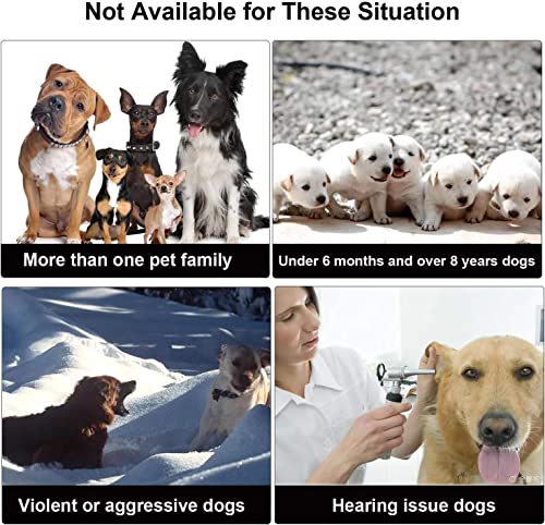 ZNFSZ Anti Barking Control Device,2023 New Ultrasonic Dog Bark Deterrent,Upgrade Mini Sonic Anti bark Repellent 50 FT Range,Ultrasound Silencer No Bark Training Control Device Security for Dogs