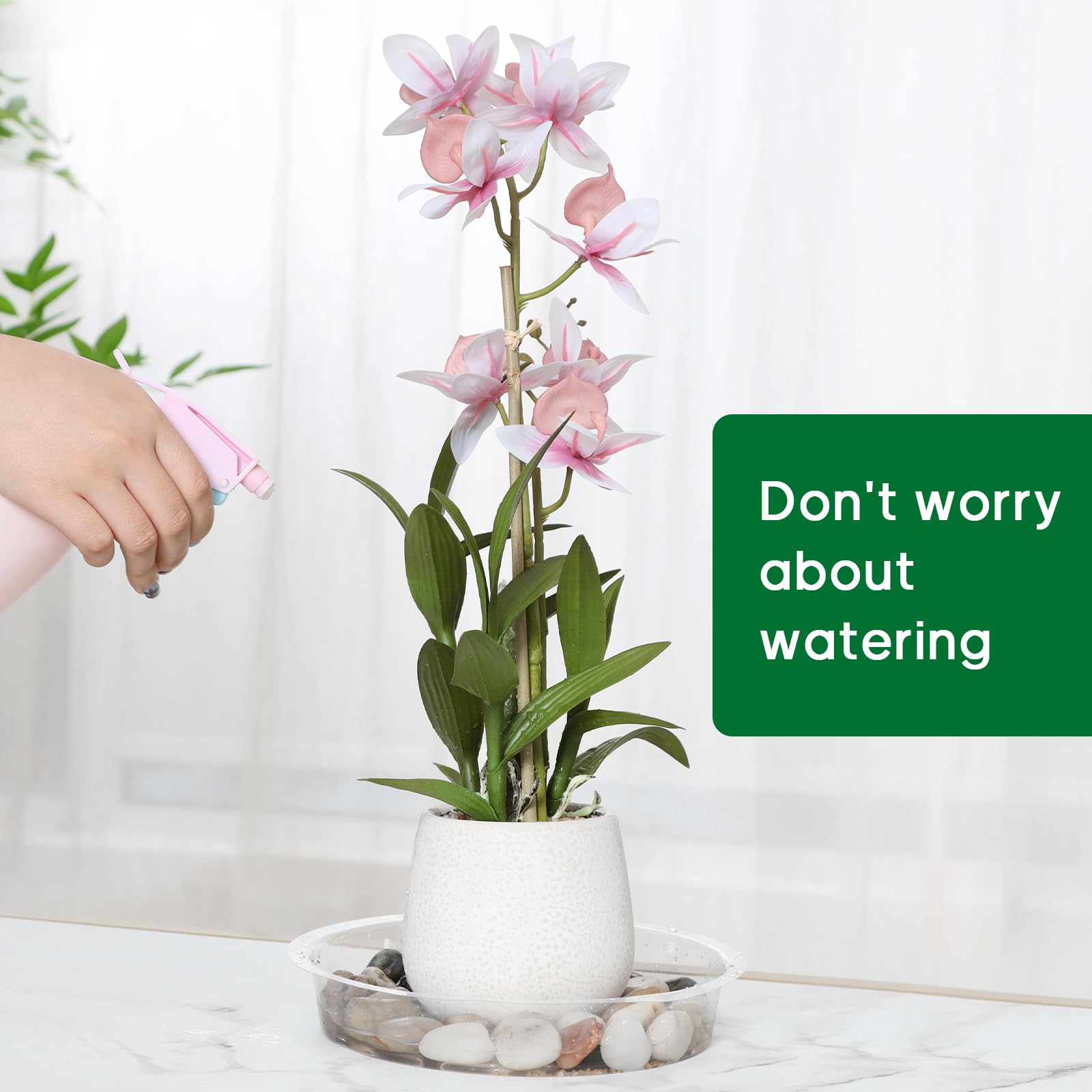 REXOS 40 Pack 6 Inch Clear Plant Saucers, Durable Plant Trays for Pots, Plastic Plant Pot Saucers for Indoors & Outdoors