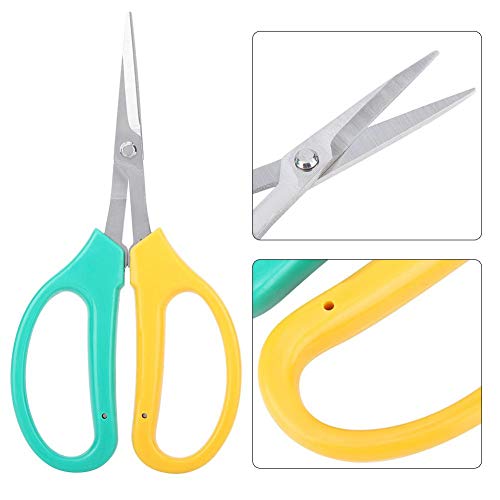 Stainless Steel Scissor, Curved Blade Grape Pruning Shears Fruit Branch Picking ScissorsĀ Bonsai Shears for Bonsai,Fruit Trees, Gardens,etc