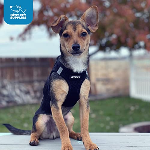 Voyager Step-in Air Dog Harness - All Weather Mesh Step in Vest Harness for Small and Medium Dogs by Best Pet Supplies - Harness (Black), Medium
