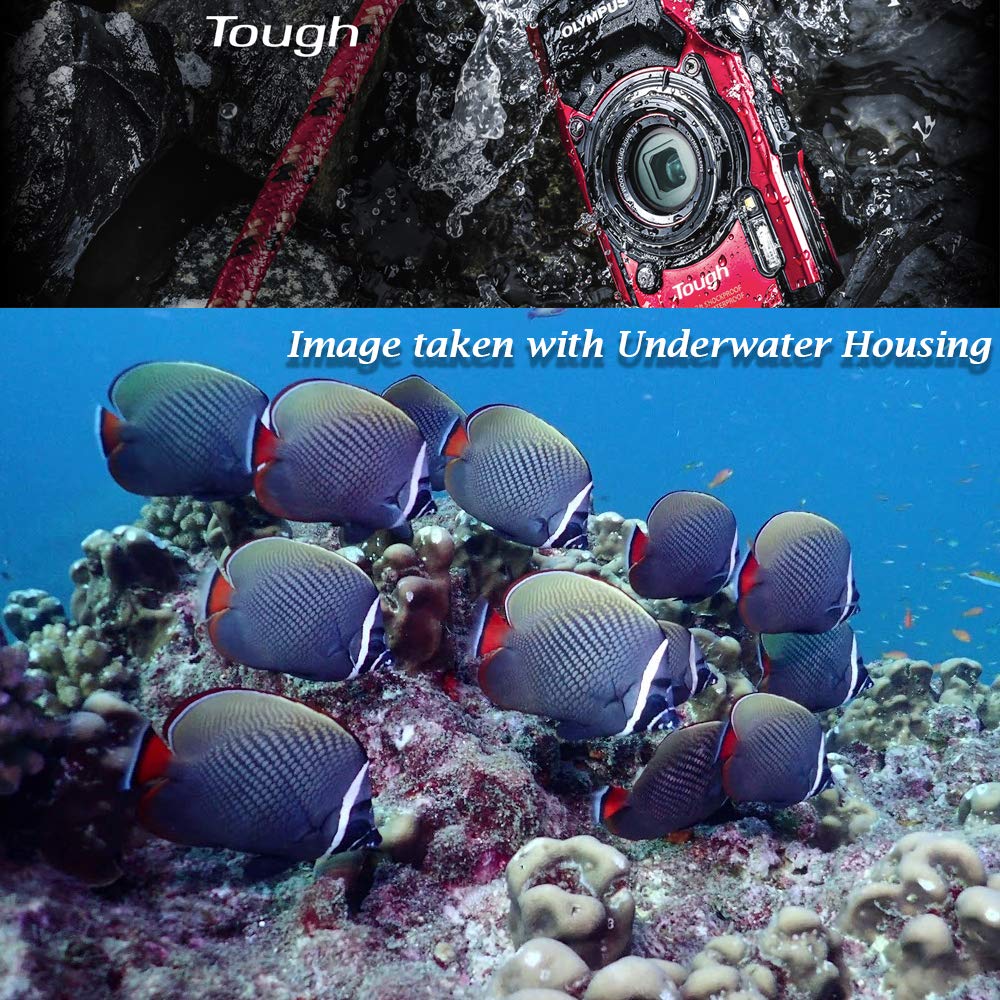 Olympus Tough TG-6 Waterproof Digital Camera (Black) + Pixibytes Basic Bundle + Underwater Package
