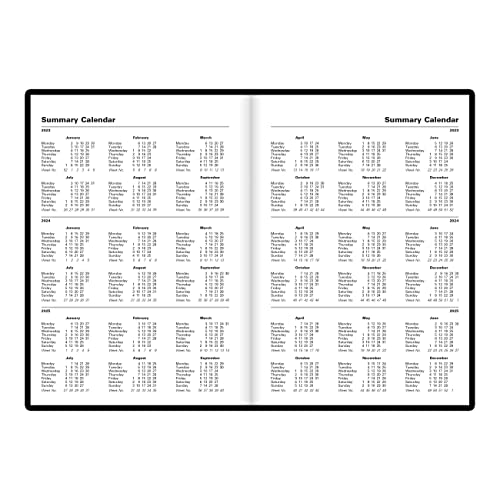 Letts of London Standard Daily Planner, 12 Months, January to December, 2024, Day-Per-Page, A4 Size, 11.75" x 8.25", Black (C10ZBK-24)