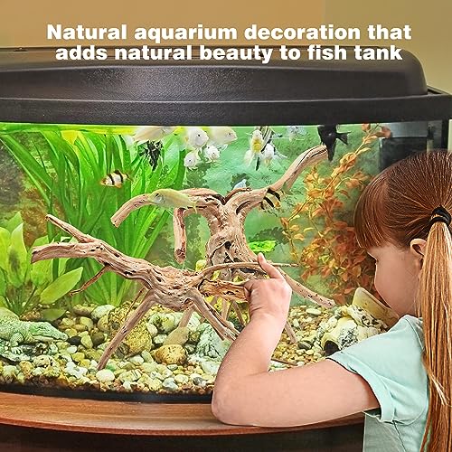 WDEFUN Driftwood for Aquarium Decor Natural Spider Wood Branches for Fish Tank Decorations 4-8 inch Pack of 7
