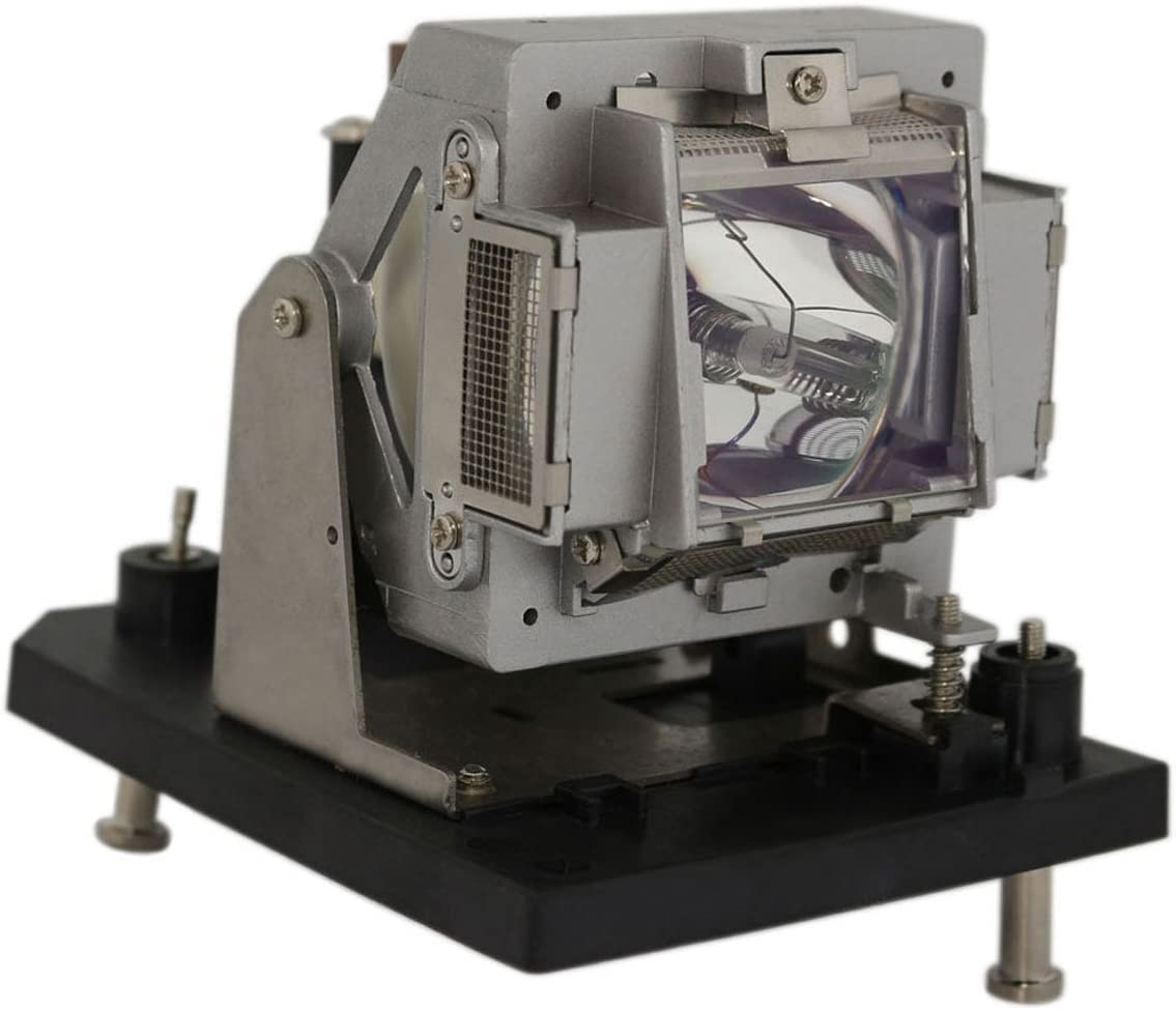 Lanwande 5811100818-S Replacement Projector Lamp Bulb with Housing for Vivitek 58111100818-STD D5600 D6000 D6010 D6500 D6510 DH6671 DU6675 DW6035 DX6535 / 109-804 110-284 E-Vision 7000