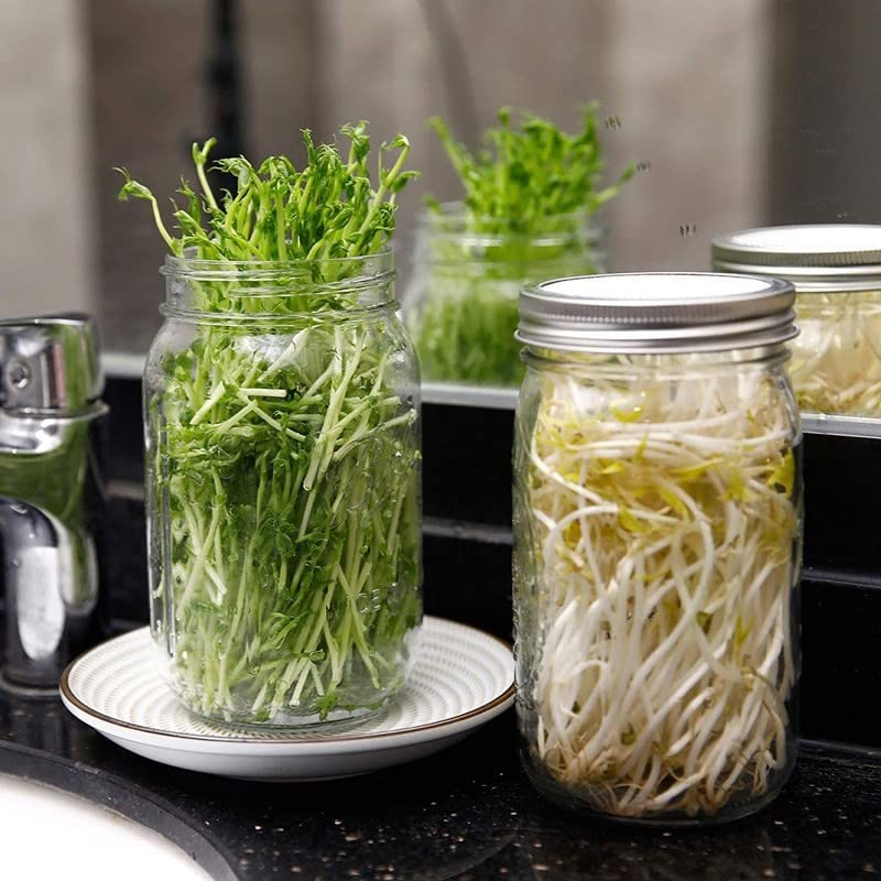 Mueuton Sprouting Jar Kit-2 Wide Mouth Quart Mason Jars(32oz with Stainless Steel Screen Sprout Lids, Tray, Stand and Canning Brush Seed Sprouter Set…