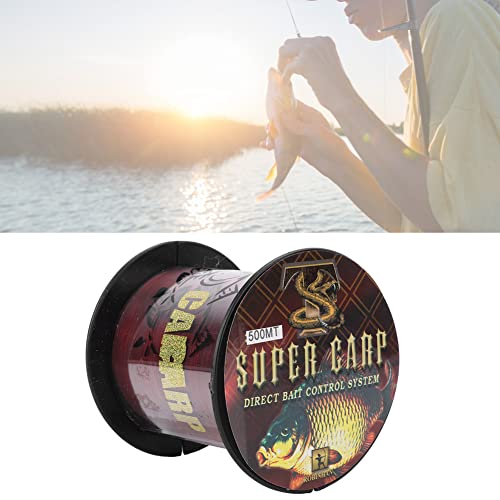 RvSky Fishing kit 500m Super Strong Nylon Fishing Line Thread Cord Sea Fresh Water Fish Tool