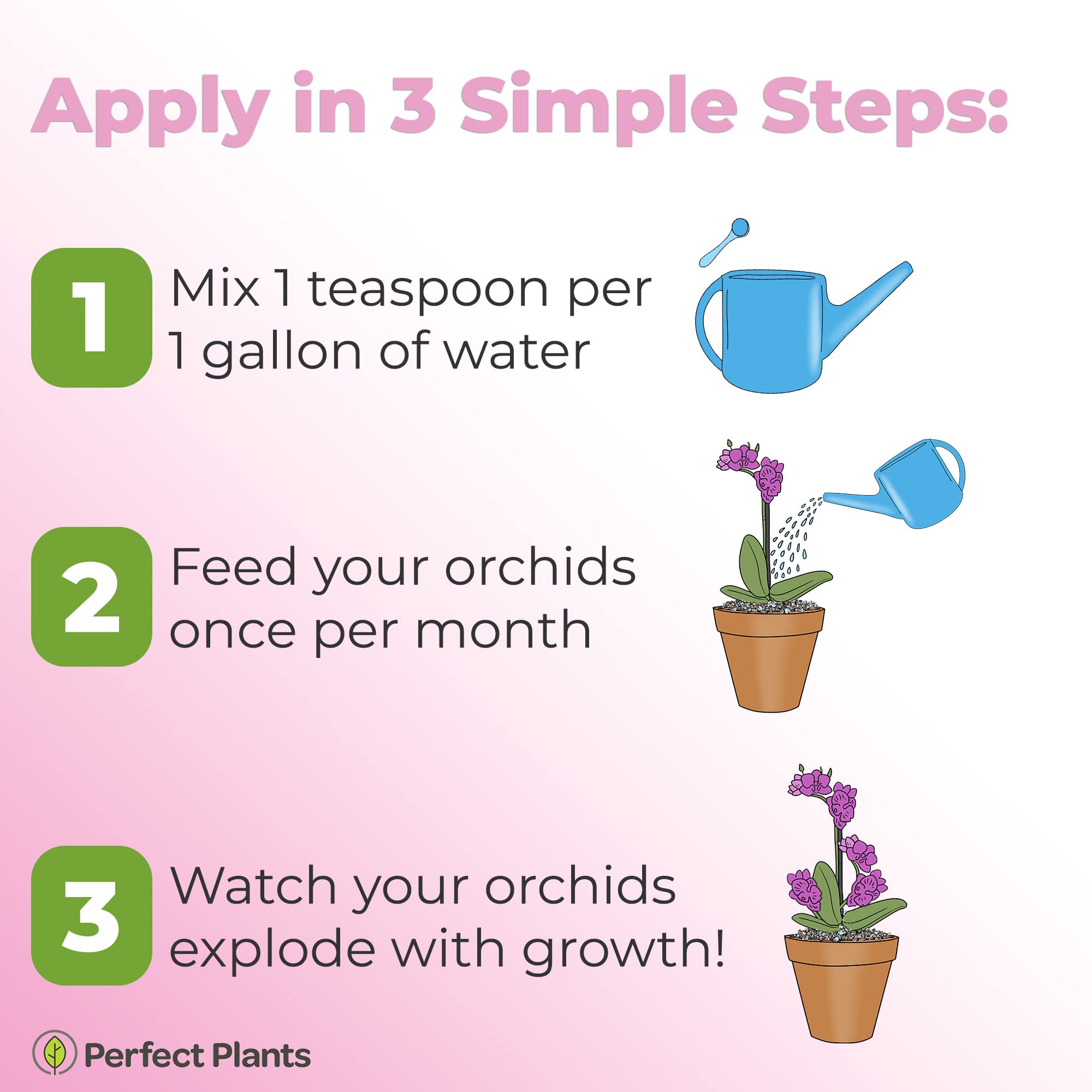 Perfect Plants Liquid Orchid Fertilizer 8oz. | Plant Food for All Epiphytic Varieties | Encourages Repeating Colorful Booms