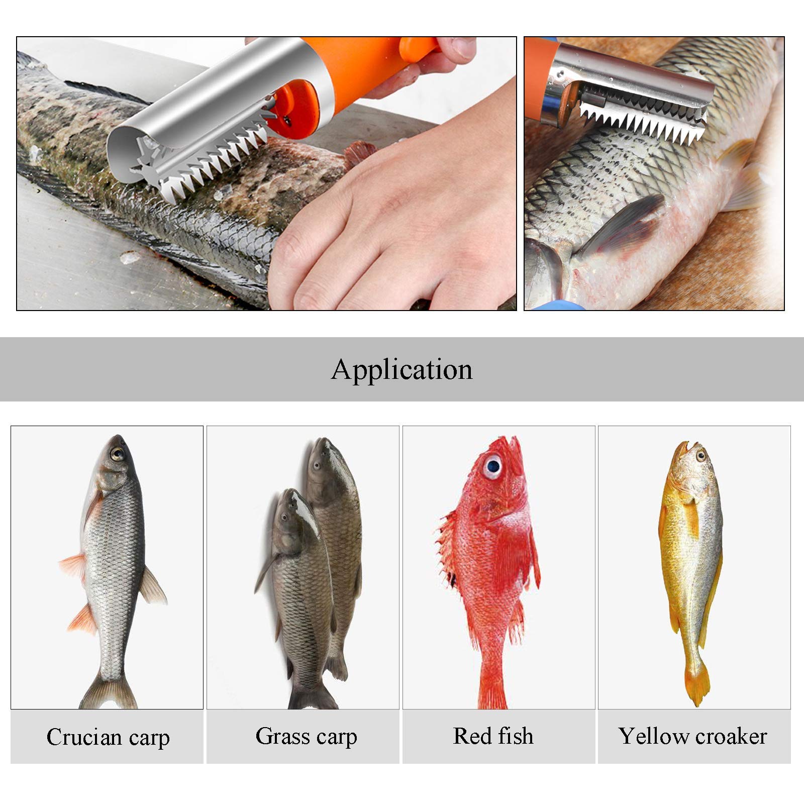 Powerful Electric Fish Scraper Cordless Fish Scaler Cleaner Automatic Fish Scale Remover with a Manual Scaler