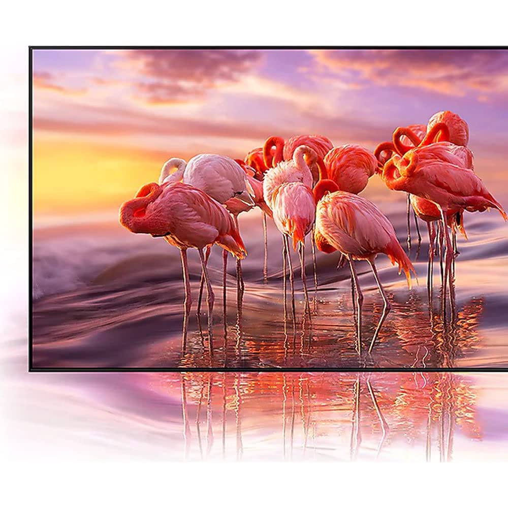 SAMSUNG QN65QN800B 65 Inch QN800B Neo QLED 8K Smart TV 2022 Bundle with Premium 2 YR CPS Enhanced Protection Pack