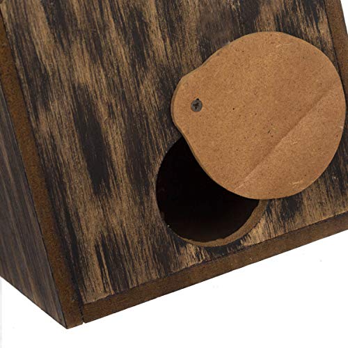 Topadorn Wooden Bird House Hanging Outdoor,Eco Friendly Materials and Decorative with Bird Printed