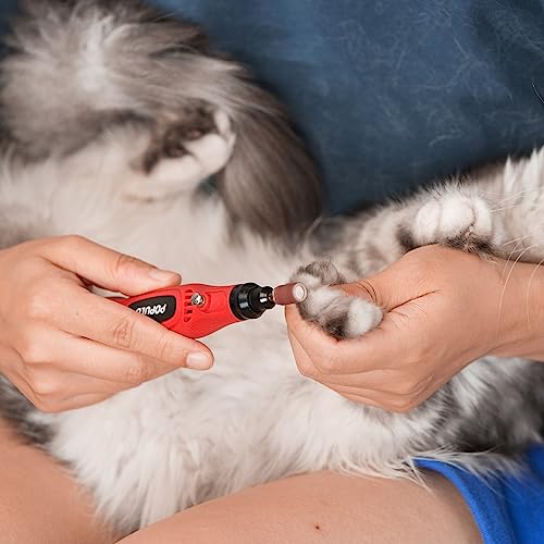 POPULO Mini Cordless Rotary Tool Portable 4V Jewelry Polishing Kit with 46 Pieces Rotary Accessory Kit, Max Speed Load up to15000 RPM,USB Charging,Engraving Pen,Polishing, Grinding, DIY Crafts