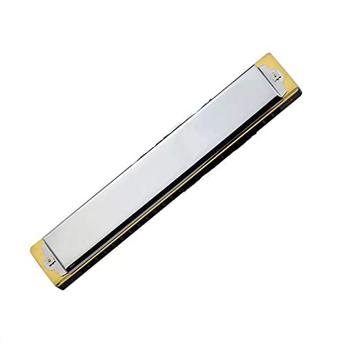 WAAZVXS 6624S Harmonica 24 Hole Brass Reeds Blues Harp Mouth Organ Key C ABS Comb Music Instruments Silver (Color : Key E)