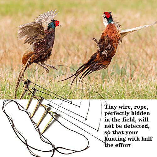 Professional Bird Trap for Chicken, Pheasant,Wild Duck, Partridge Mallard and Other Medium-Sized Birds Tying Birds' feet Won't Hurt Them