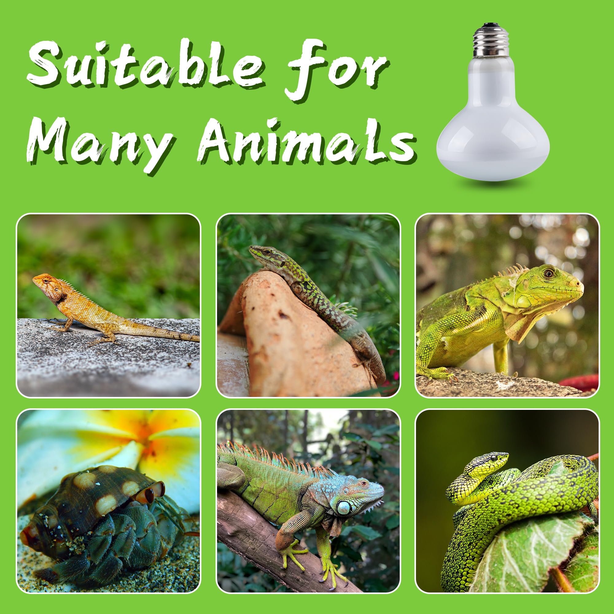 Jugbuy Reptile Heat Lamp Bulb, 100 Watt UVA Daylight Basking Spot Light for Bearded Dragon, Turtle, Lizard, Snake, Tortoise, Chameleon, Amphibians - 2 Pack
