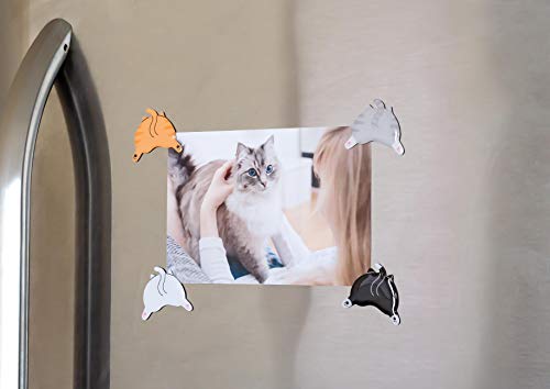 Pearhead Cat Bum Kitchen Magnets, Pet Themed Refrigerator Magnets, Cat Lover Home Décor, Funny Novelty Gift, School Locker Accessories, Set of 4