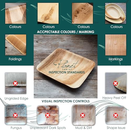 Planet Pantry Disposable Palm leaf Cutlery Wooden Bamboo-Like Paper and Plastic Alternative Eco-Friendly for Food, Party, Buffet (5" Soup Spoon, 50)