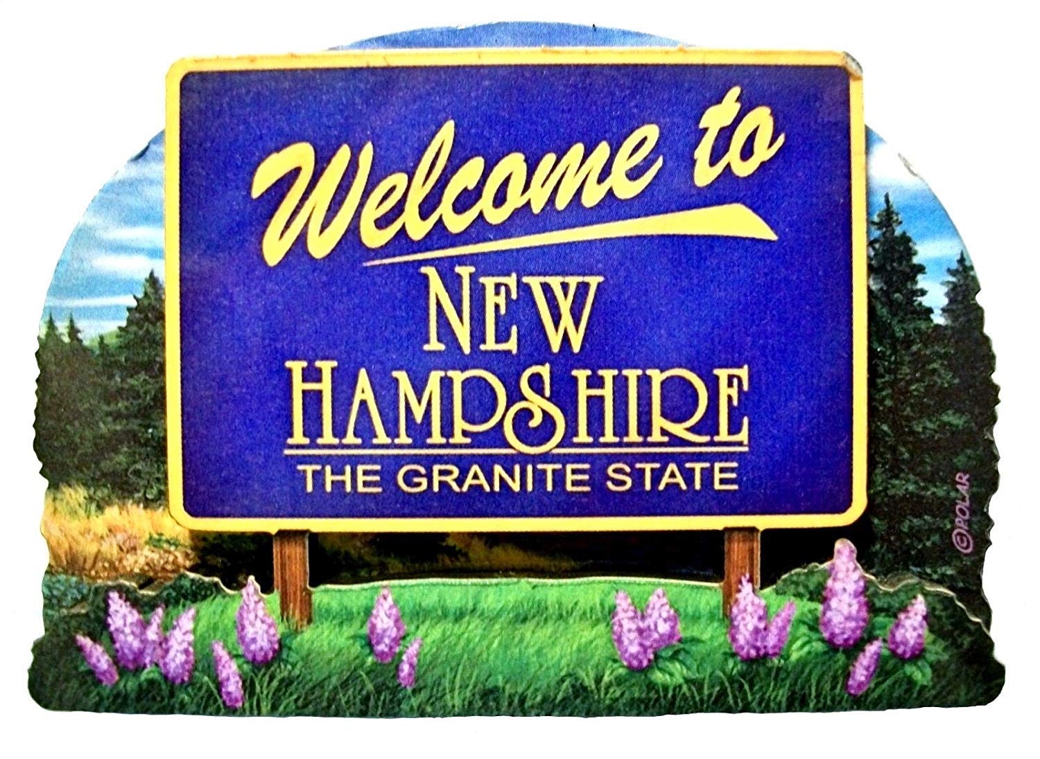 New Hampshire State Welcome Sign Wood Fridge Magnet 2