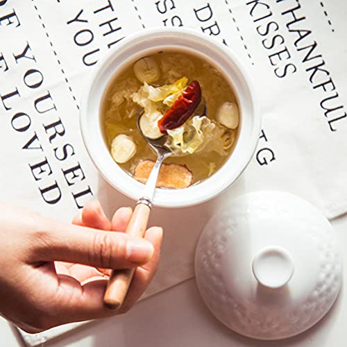 Operitacx Ceramic Stew Pot with Lid and Spoon Japanese Small Steam Soup Bowl Steaming Cup Serving Dish Seasoning Jar for Cereal Rice Chili Beef Stew Medicinal Birds Nest Egg Custard Appetizer
