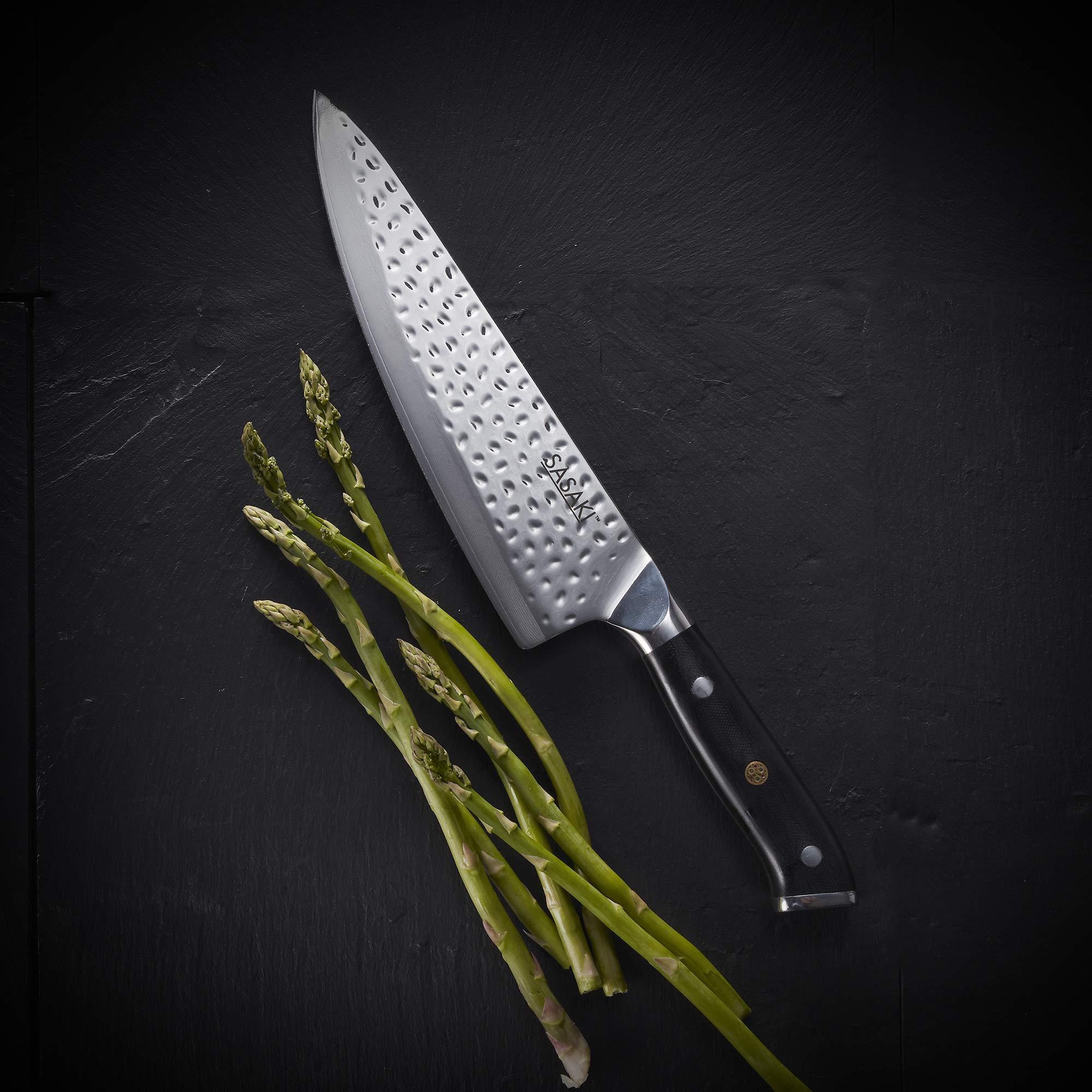 Sasaki Takumi Japanese AUS-10 Stainless Steel Chef Knife with Locking Sheath, 8-Inch, Black