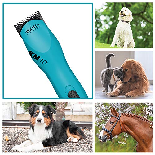 WAHL Professional Animal KM10 2-Speed Brushless Motor Pet, Dog, and Horse Clipper Kit - Turquoise