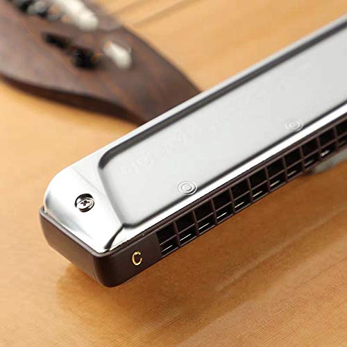 WAAZVXS Harmonica Key C 24 Holes Harp Phosphor Bronze Reeds ABS Comb Musical Instruments Professional (Color : 2430 Key C)