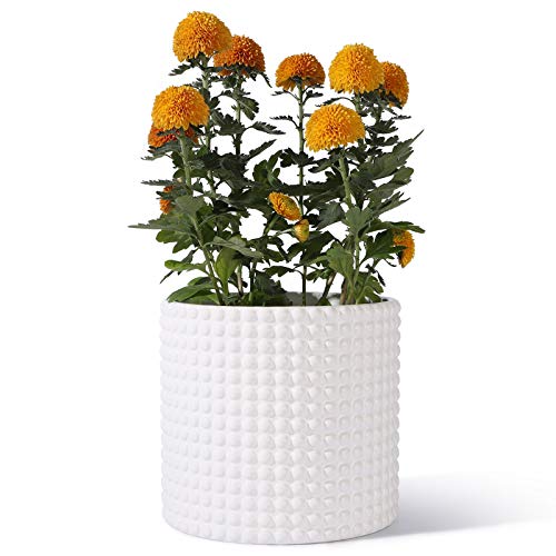 Shiny White Planter Pots for Plants Indoor - 8 Inch Ceramic Vintage-Style Hobnail Textured Flower Pot with Drainage Hole for Modern Home Decor(POTEY 056301, Plants NOT Included)