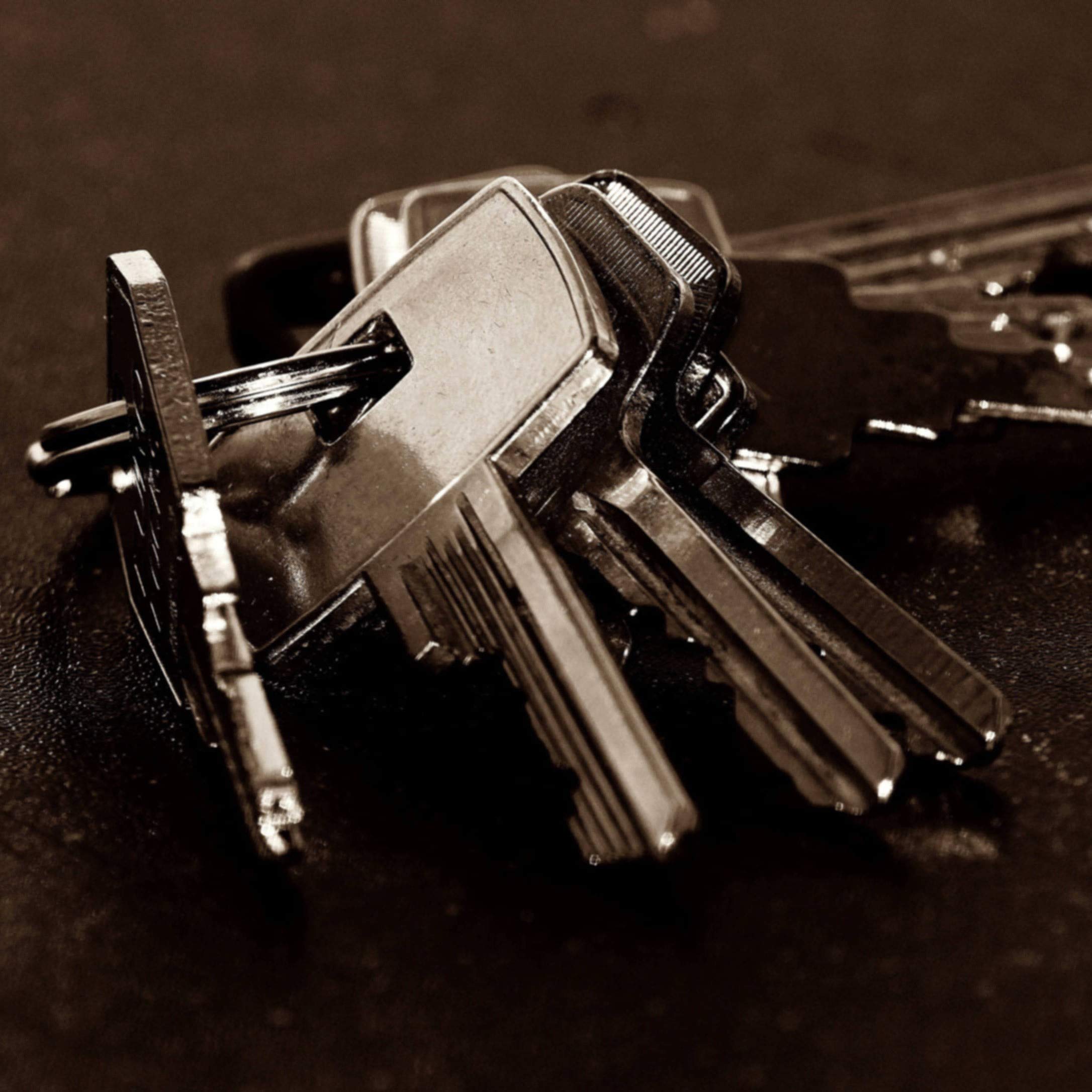 Key Ring 50 Pcs 1.25'' -15 Pcs,1'' -15Pcs, 0.8''-20Pcs Ring Flat Rings Split Keyrings