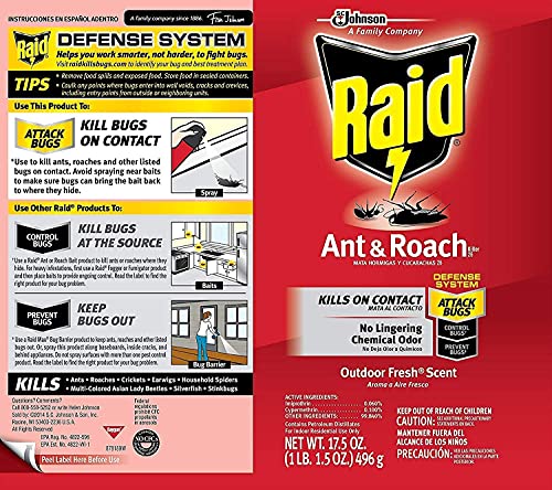 Raid Ant and Roach Killer 17.5 Ounce (Pack of 3)