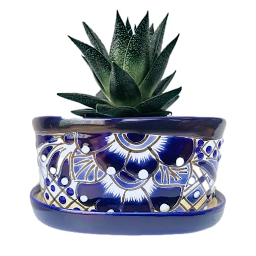 Small Ceramic Pot - Flower Planter with Drainage for Cactus Bonsai Succulents Blue and White Ceramic Pot - Desk Size - Maceta Ceramica Maceta Azul Blanco
