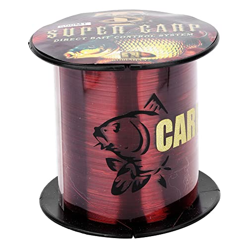 RvSky Fishing kit 500m Super Strong Nylon Fishing Line Thread Cord Sea Fresh Water Fish Tool