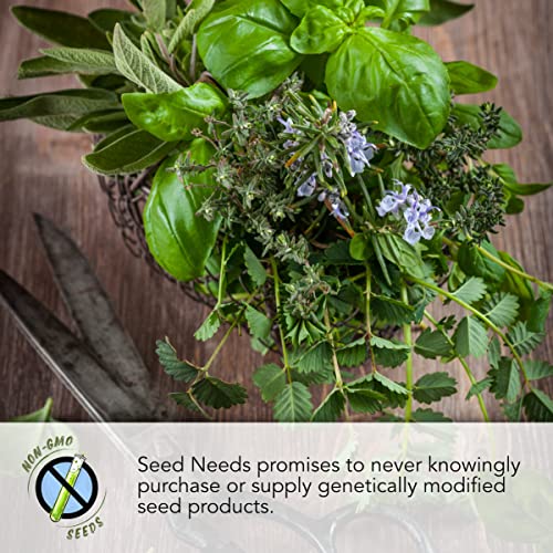Seed Needs, White/Blue Borage Seed Packet Collection (2 Individual Borage Varieties for Planting) Heirloom, Non-GMO & Untreated
