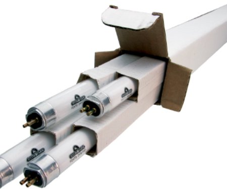 Hydrofarm Agrobrite T5 2' Replacement Lamp 24w Pack of 4