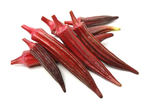 Red Burgundy Okra Seeds for Planting, 100+ Heirloom Seeds Per Packet, (Isla's Garden Seeds), Non GMO Seeds, Botanical Name: Abelmoschus esculentus, Great Home Garden Gift