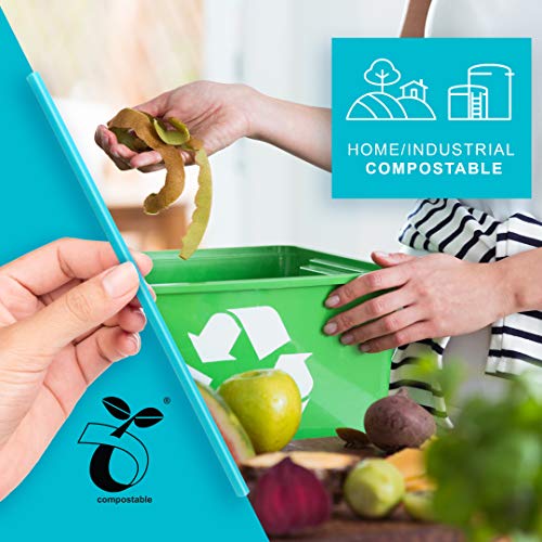 Phade 8.5" Giant Compostable Biodegradable Eco Straws, 300 Count, Individually Wrapped, For Cold Drinks Only