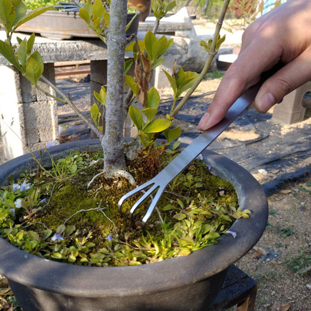 SQXBK Bonsai Rake Stainless Steel Root Rake with Spatula Mini Gardening Rack Cultivator 3-Prong Loosen Soil Bonsai Tree Tools