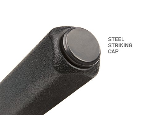 TEKTON 12 Inch Angled End Handled Pry Bar | LSQ42012