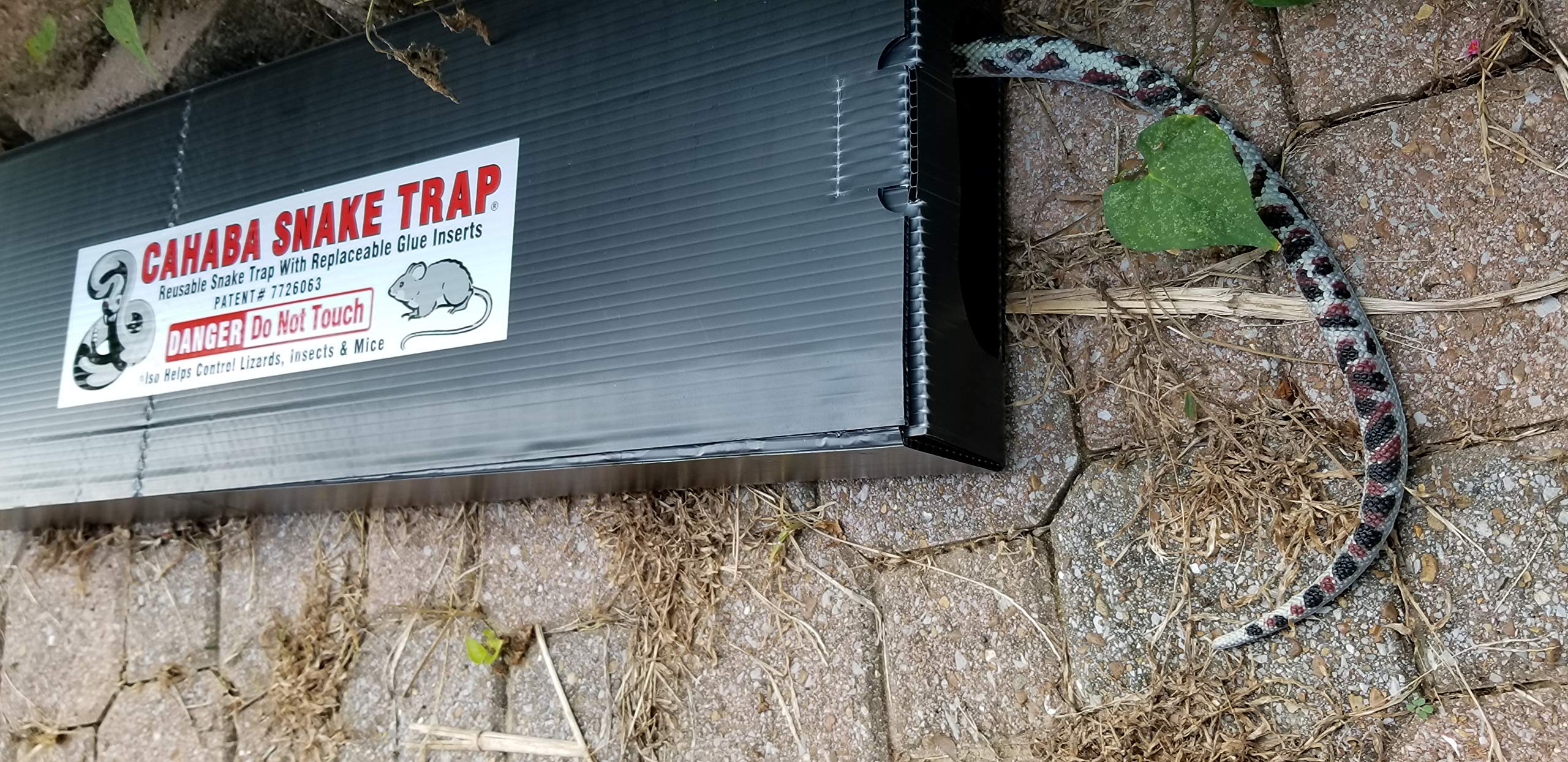 Snake Trap Large, (Foldable, Reusable 32"x10"x 3") with (1) Catch Insert, Commercial Grade, Made of Strong Corrugated Plastic in Alabama, USA