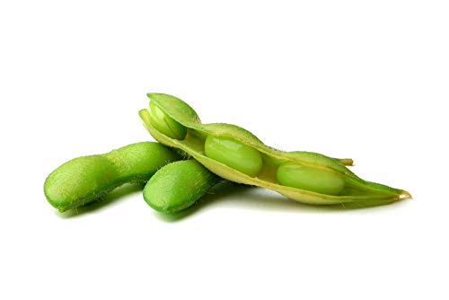 Soybeans Seeds for Planting, 25+ Heirloom Seeds Per Packet, (Isla's Garden Seeds), Non GMO Seeds, Botanical Name: Glycine max, Great Home Garden Gift