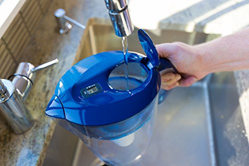 REPLACEMENT FILTER for Epic Pure Water Pitcher or Dispenser / 150 Gallon Long Last Filter | BPA Free.