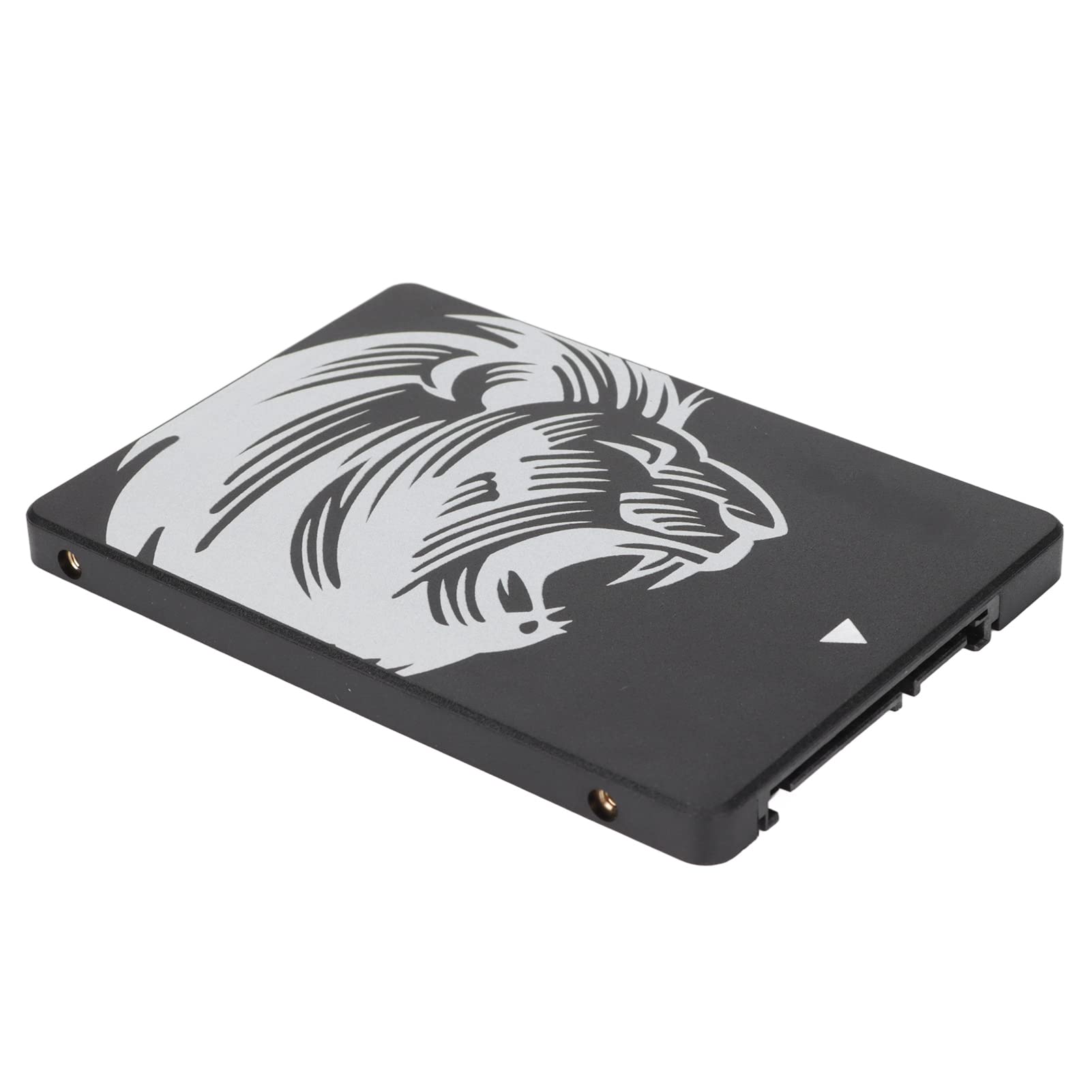 Shanrya External SSD, Universal Desktop SSD for Notebook Computer