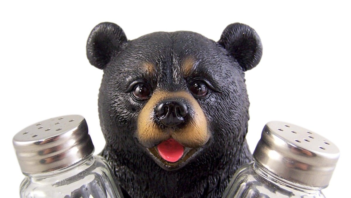Liphontcta Season Beary Carefully Black Bear Salt and Pepper Shaker Holder 7 Inch (Shakers Included)